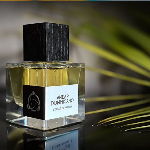 Ambar Dominicano